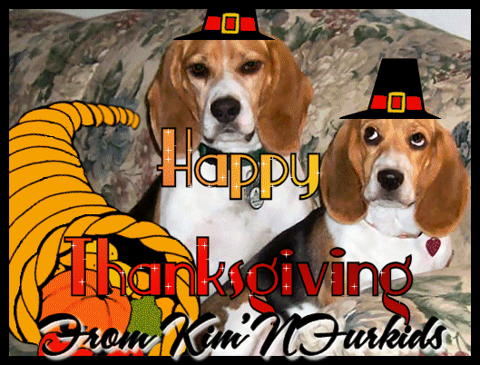 Ladiez of Beaglebratz Manor: HAPPY THANKSGIVING - Adoption stories ...