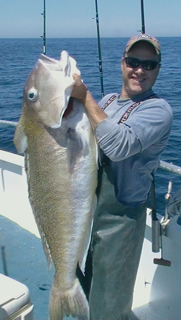 Tile Fish Jig at Francine Rice blog