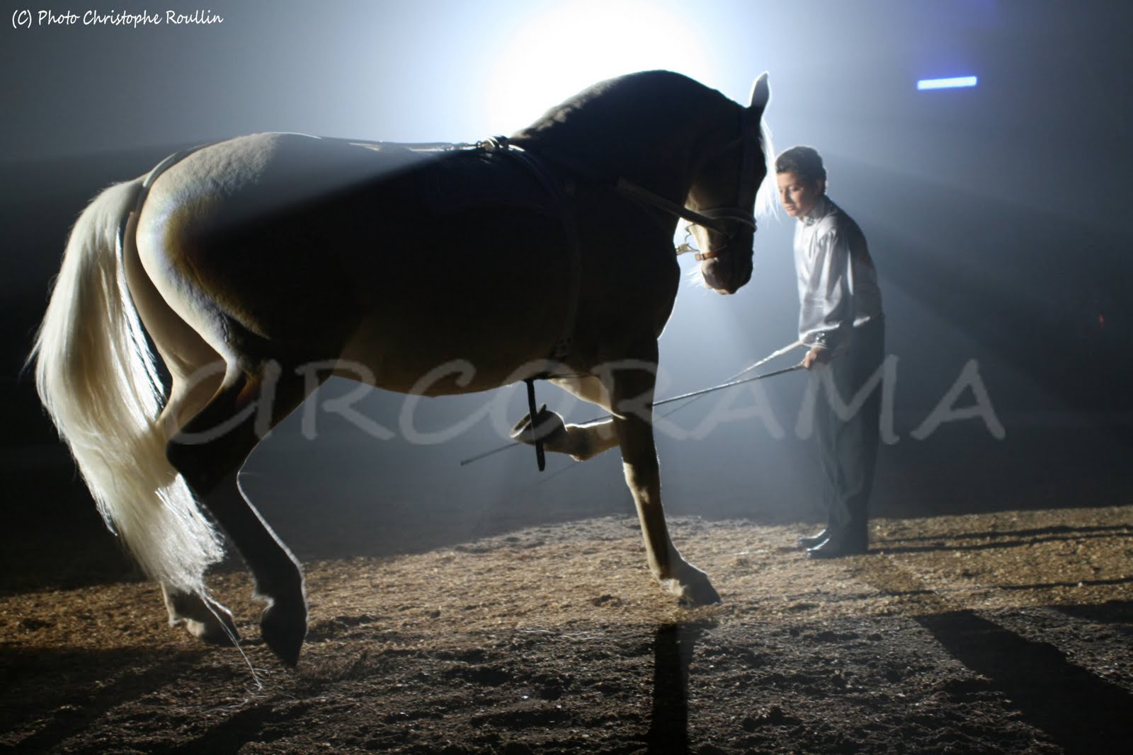 CIRCORAMA PART 1: LE CIRQUE COMMENCE A CHEVAL.