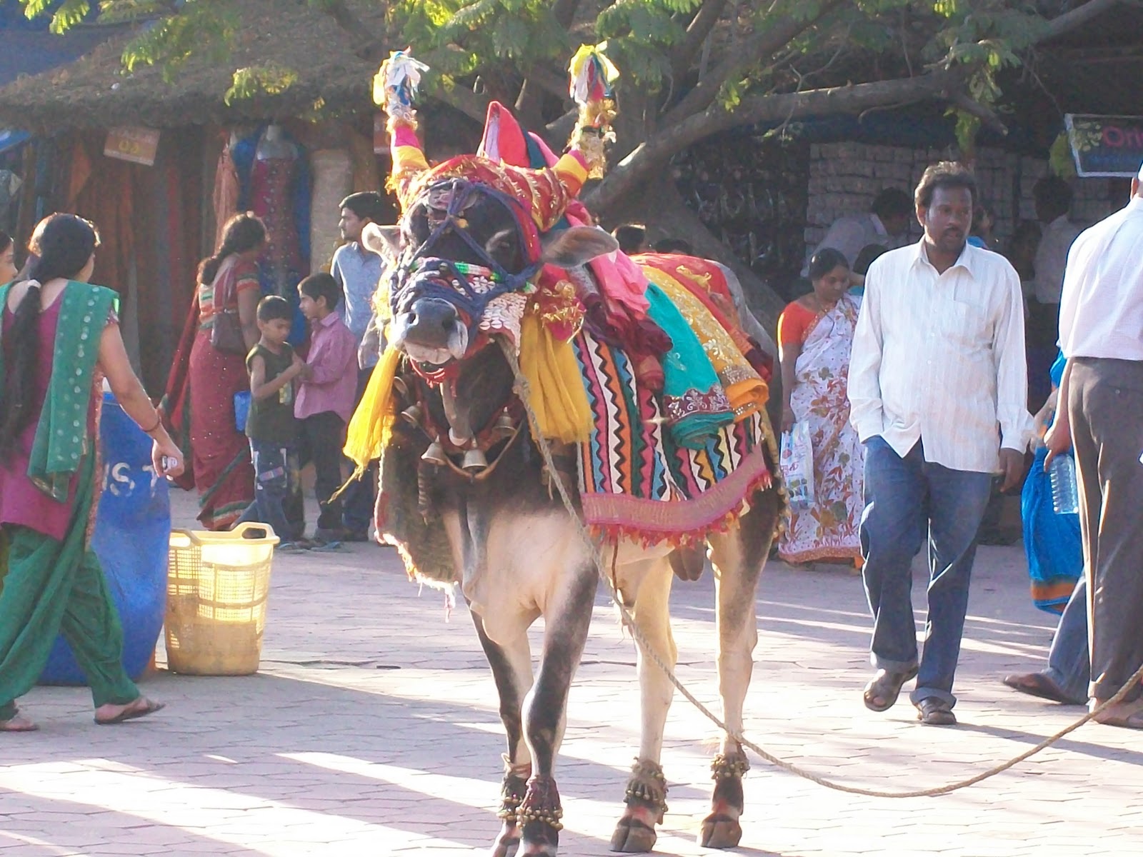 England Adventures.. and also India!!: Pongal! A Celebration including ...
