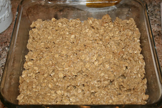 Prudence Pennywise: Chocolate Oatmeal Almost Candy Bars