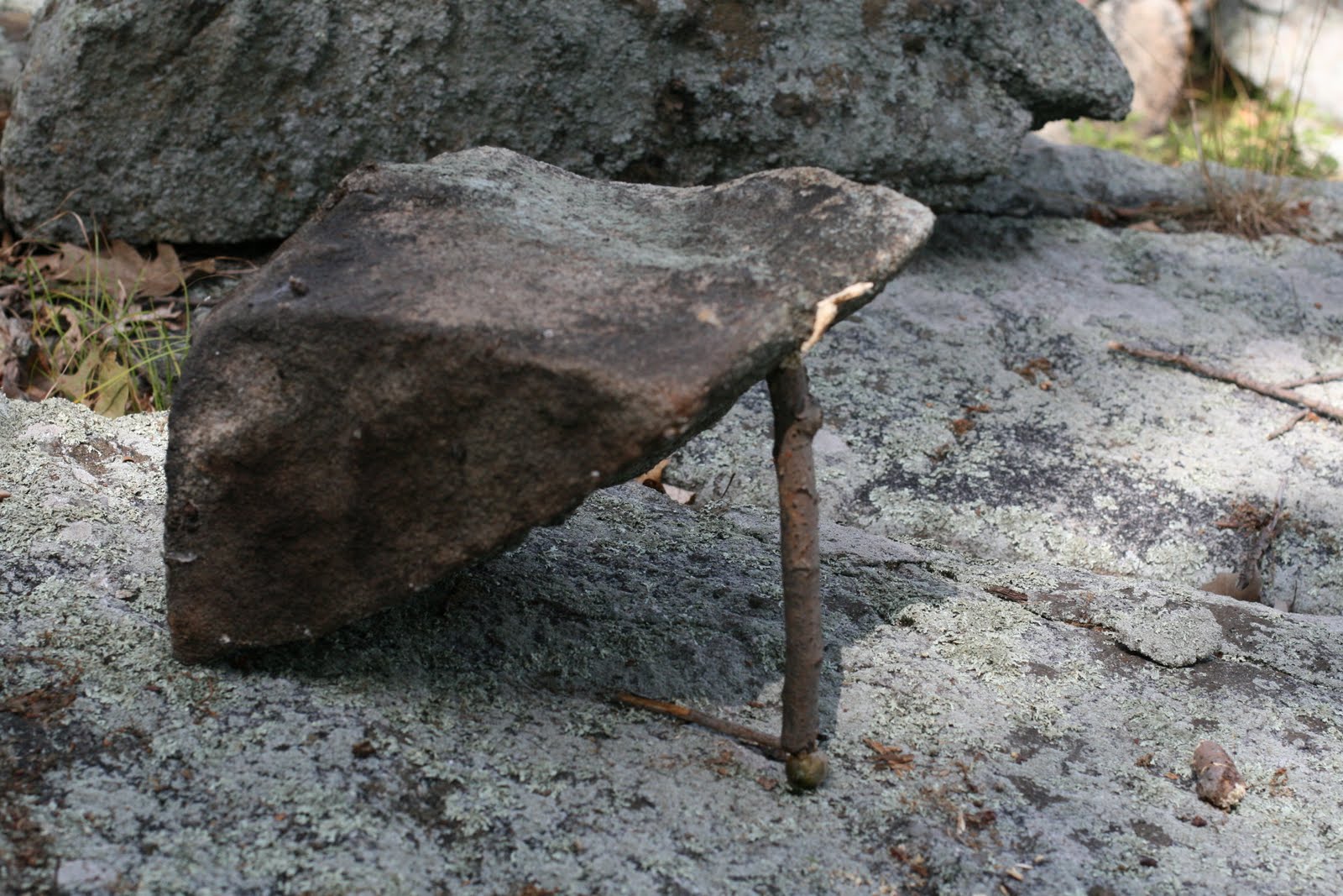 Wood Trekker: No Knife Deadfall Trap
