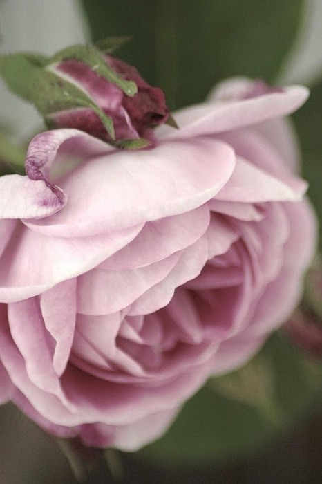 When Decorating: a little pink...