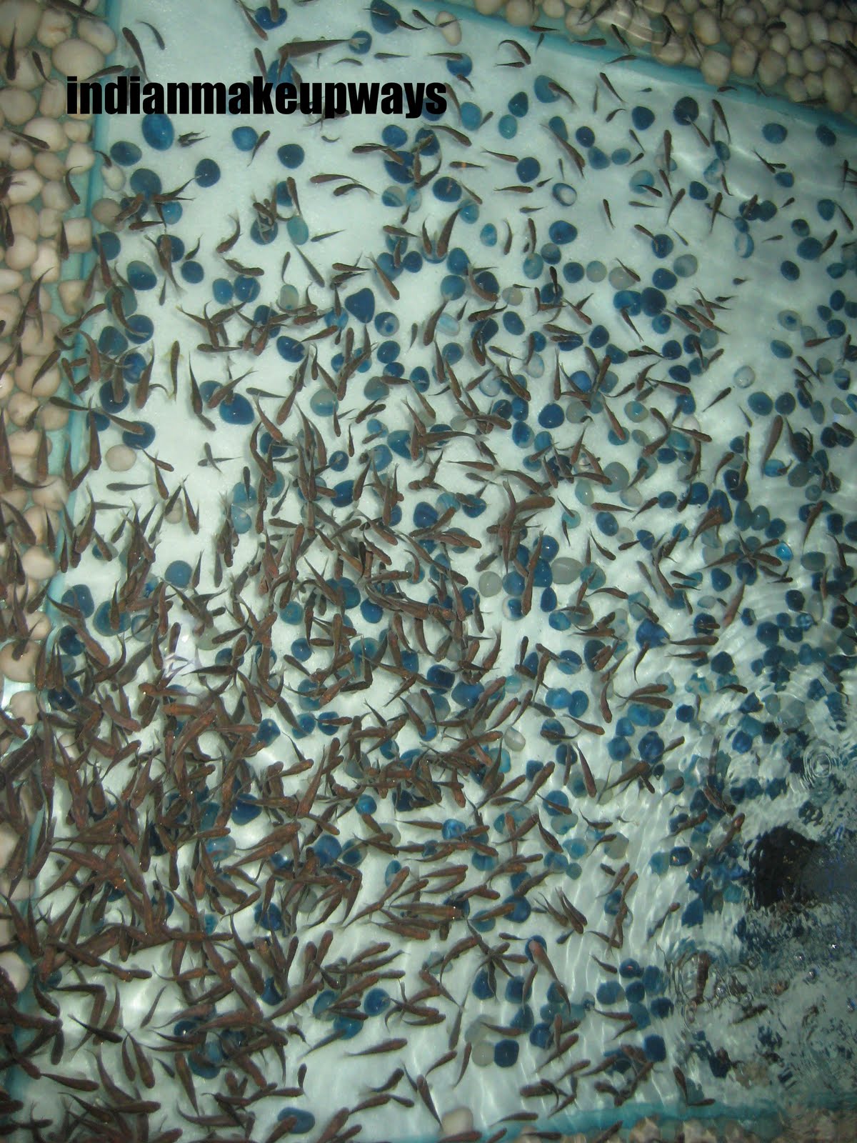 MY MUMBAI DARSHAN | indianmakeupways