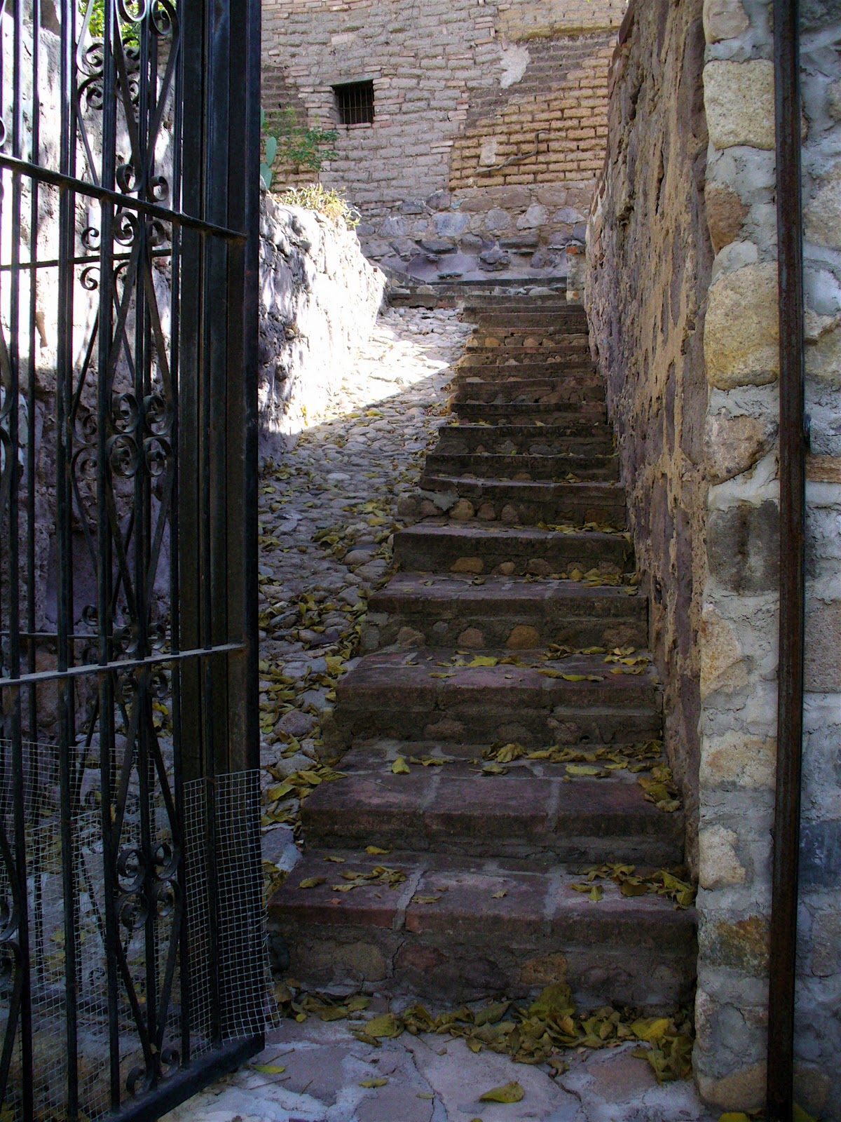 Alt. Build Blog: An Old Adobe Cottage in Alamos, Sonora