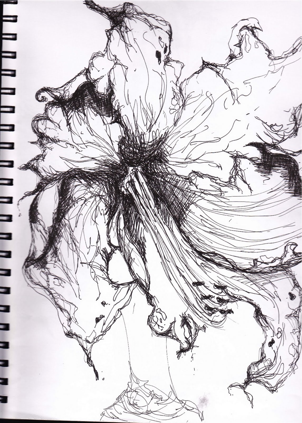 Sketch BOOKIES: botanical pen & ink drawings