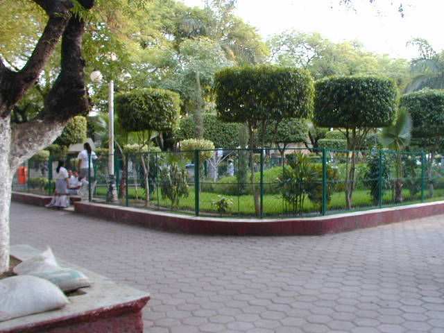 VISITA GUERRERO: COCULA