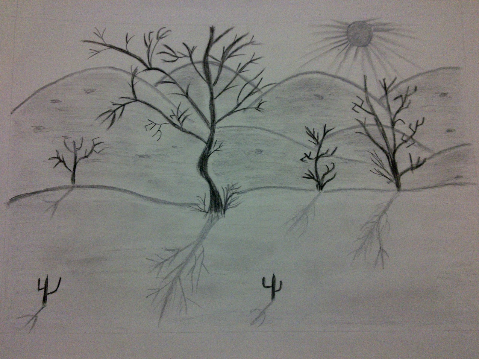 Beginning the Journey of Drawing.: My drawing - Natural Scene