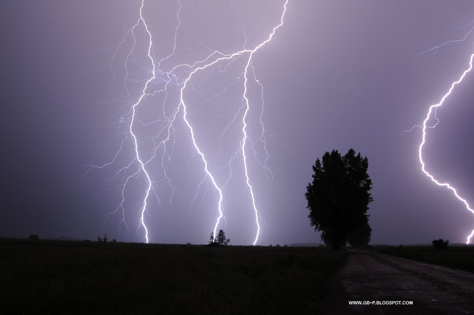 George Bufan Photography: Fulgere 2010