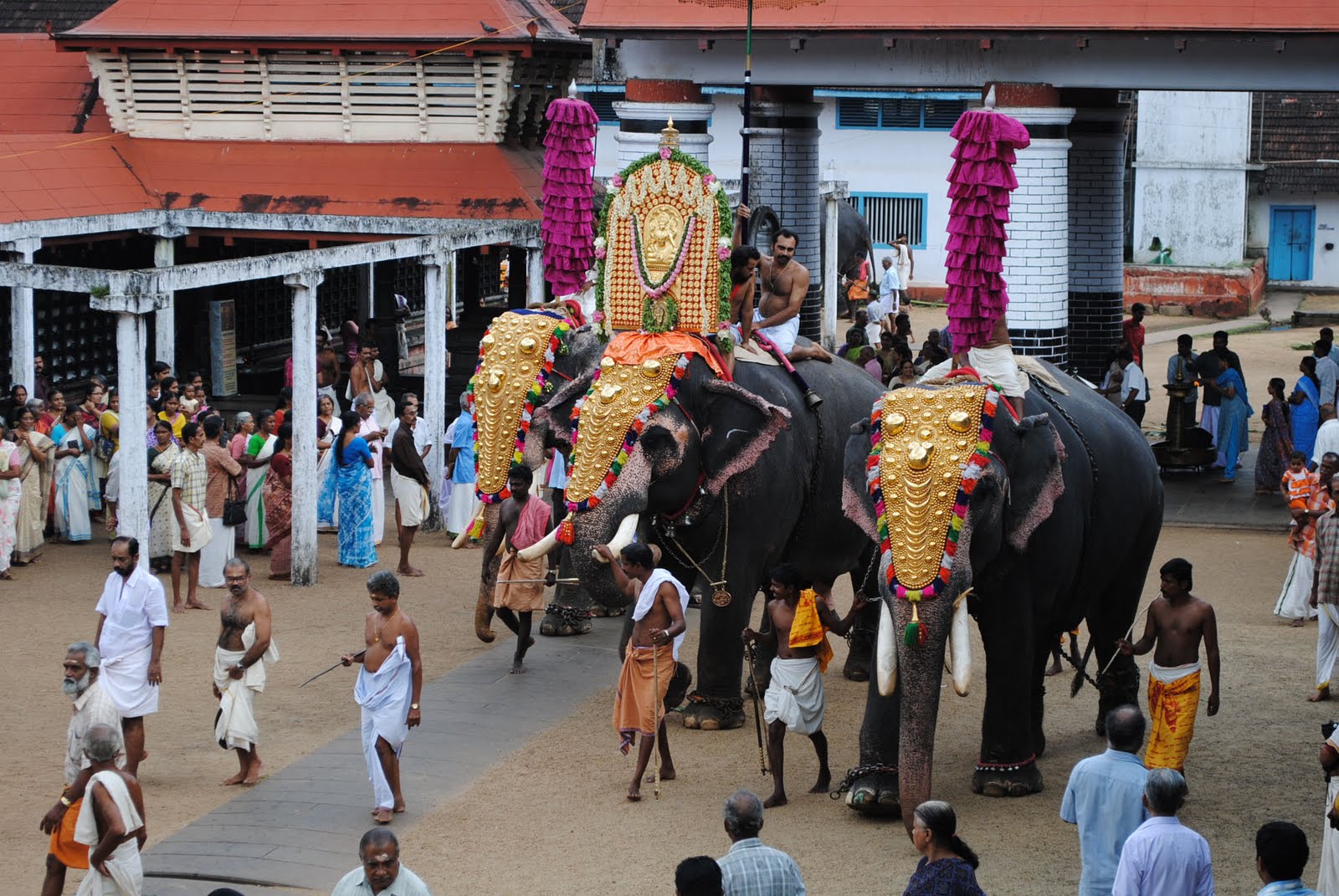 Trumpet by Meister: Tripunithura Ambalam