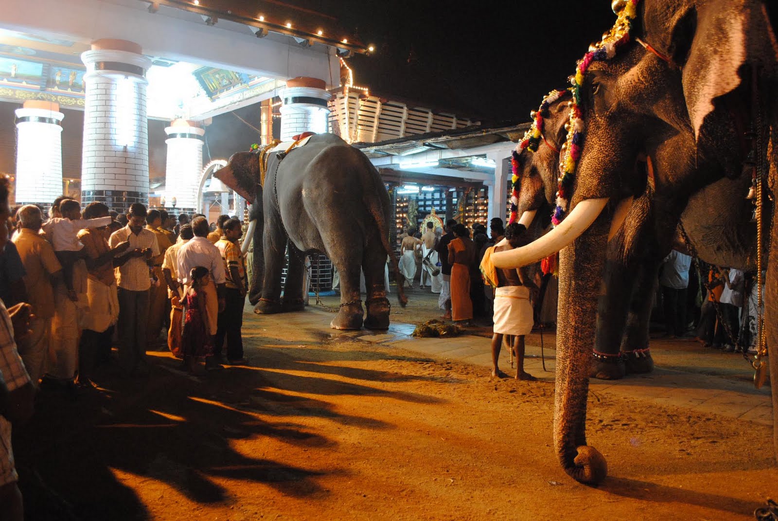 Trumpet by Meister: Best of Ulsavam 2010