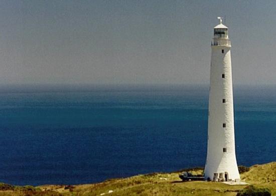 i trust, i can: November 2010