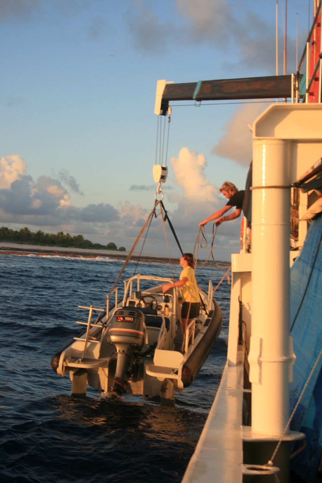 Sarah Lemer, PhD: Genetic diversity and Connectivity of the Black ...