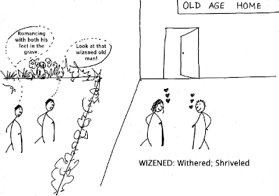 Comic Vocabulary: wizened,strident