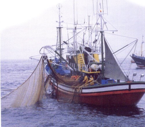 Ciencias Sociales: Pesca de bajura