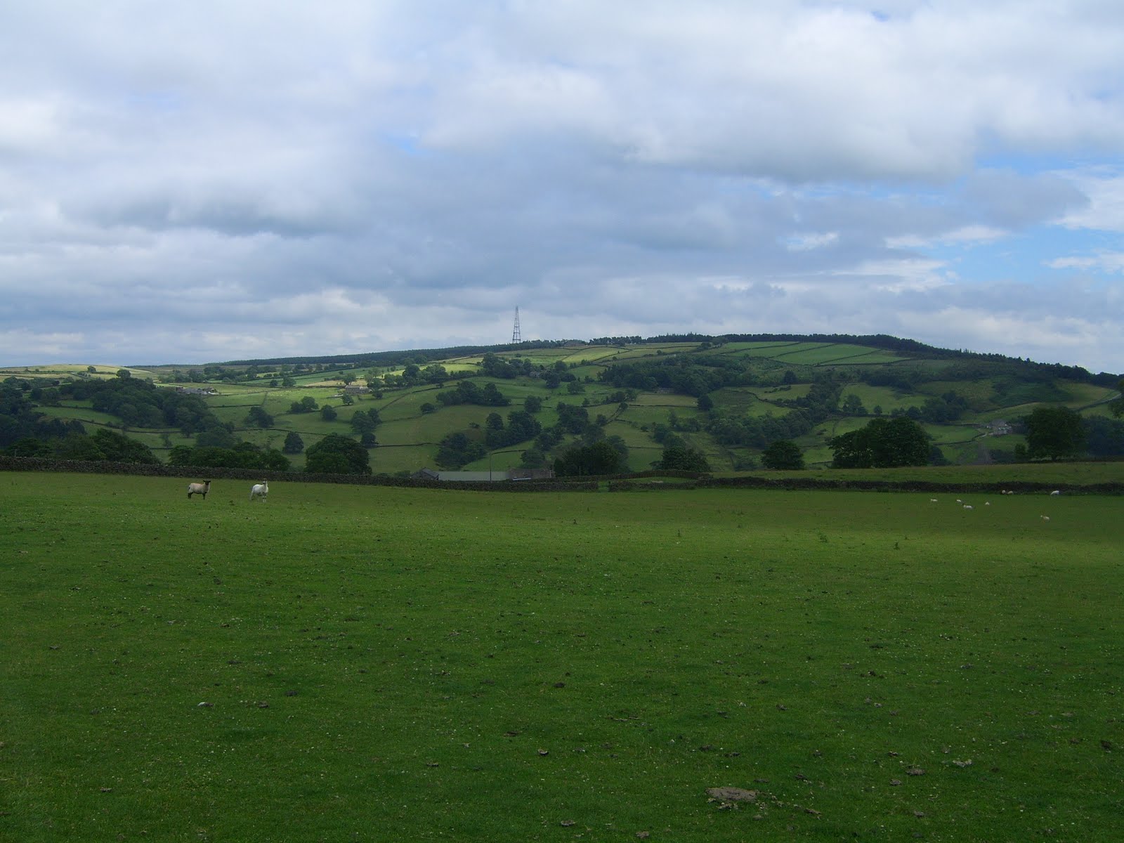 Burland Wanderings, Wainwright Walks etc.: Timble and Swinsty