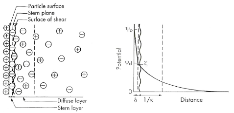 BIPH3001-Frontiers in Biophysics 2010: Charged Surface Chemistry