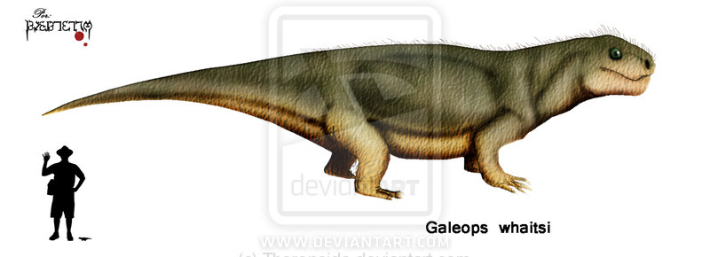 Hronoblog: 299-251 млн лет назад. Пермский период. Жизнь.(Продолжение1)