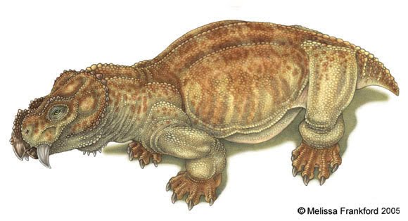 Hronoblog: 299-251 млн лет назад. Пермский период. Жизнь.(Продолжение1)