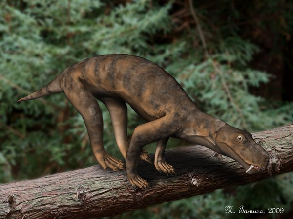 Hronoblog: 299-251 млн лет назад. Пермский период. Жизнь.(Продолжение1)