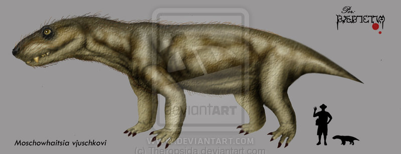 Hronoblog: 299-251 млн лет назад. Пермский период. Жизнь.(Продолжение 2)