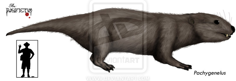 Hronoblog: 299-251 млн лет назад. Пермский период. Жизнь.(Продолжение 2)