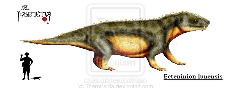 Hronoblog: 299-251 млн лет назад. Пермский период. Жизнь.(Продолжение 2)