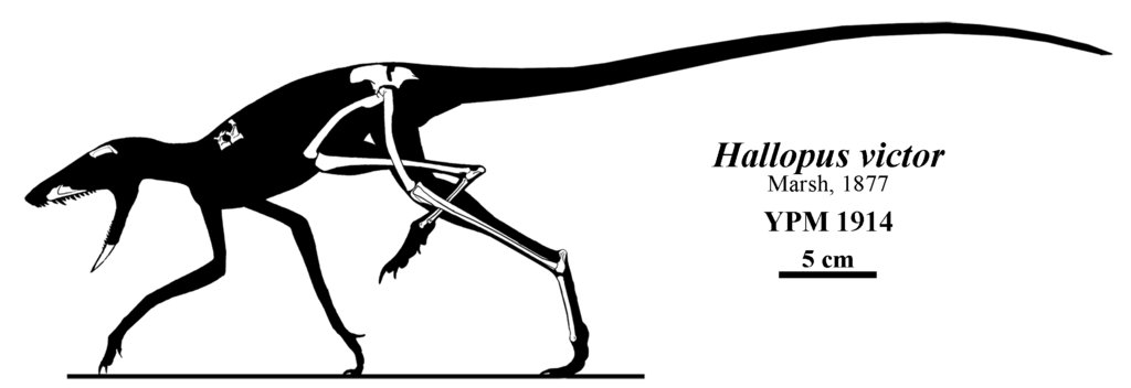 Hronoblog: 251-199.6 млн лет назад.Триасовый период.Жизнь 2.