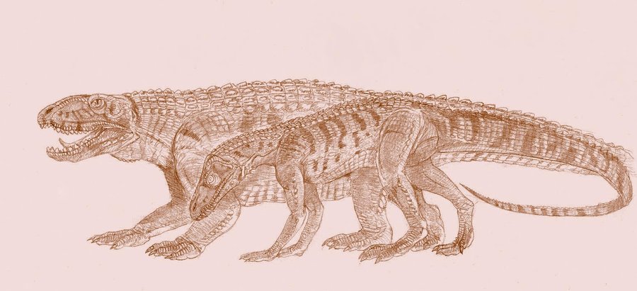 Hronoblog: 251-199.6 млн лет назад.Триасовый период.Жизнь 2.