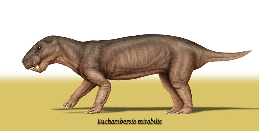 Hronoblog: 251-199.6 млн лет назад.Триасовый период.Жизнь 9.