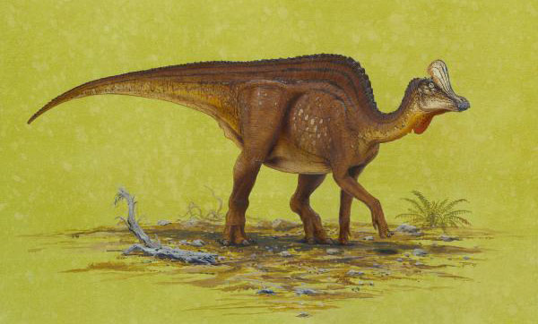 Hronoblog: 145,5-65,5 млн лет назад.Меловый период.Жизнь 6.