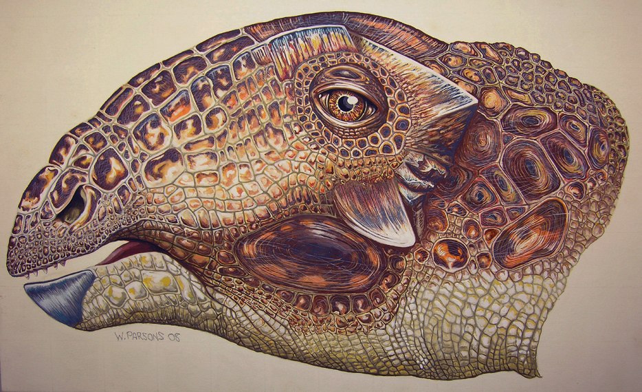 Hronoblog: 145,5-65,5 млн лет назад.Меловый период.Жизнь 9.