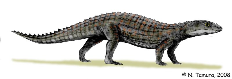Hronoblog: 145,5-65,5 млн лет назад.Меловый период.Жизнь 12.
