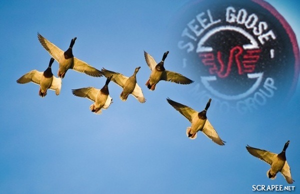 Postando em Liberdade: Esse é o STEEL GOOSE MOTO GROUP, sempre imitado ...