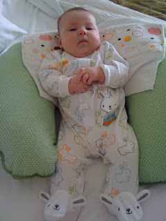 A First Time Mom's Guide...: Leachco Cuddle-U Nursing Pillow