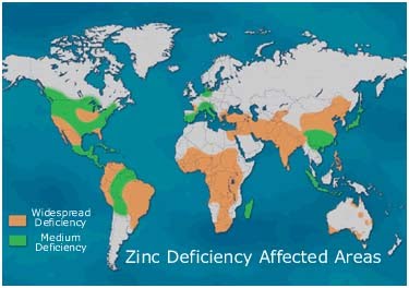 Zinc Fertilizer :Application and Usage: Application of Zinc: