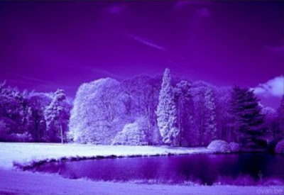 Paisajes color morado - Imagui