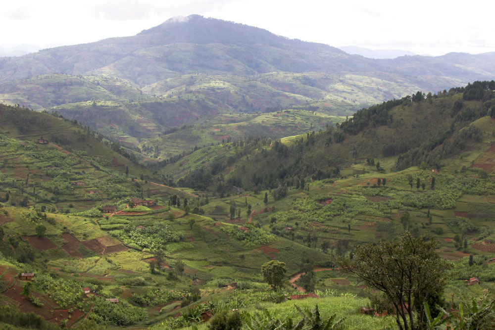 Kigali The Land Of A Thousand Hills Horn Necklace