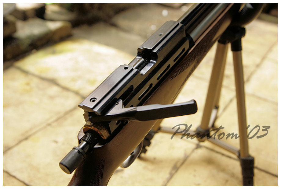 AIR RIFLE - AIR GUN - SENAPAN ANGIN: Senapan PCP