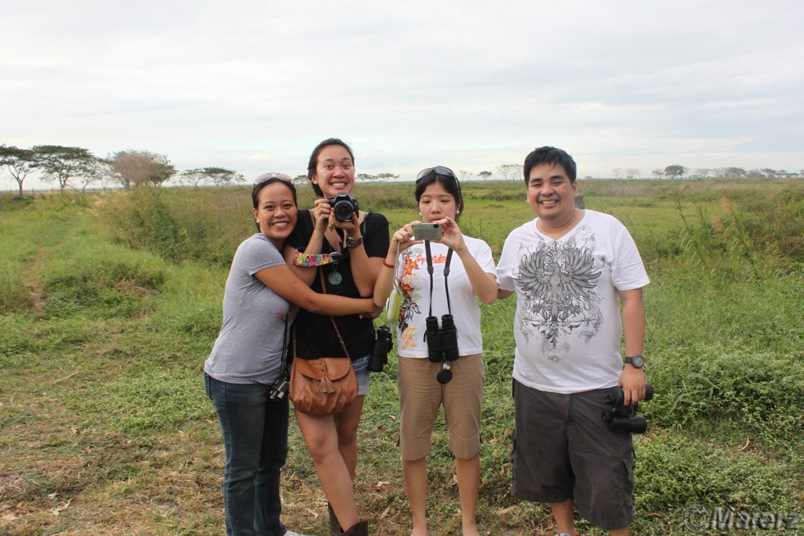 Randomness Is Bliss: Bird Watching @ Candaba Wetlands