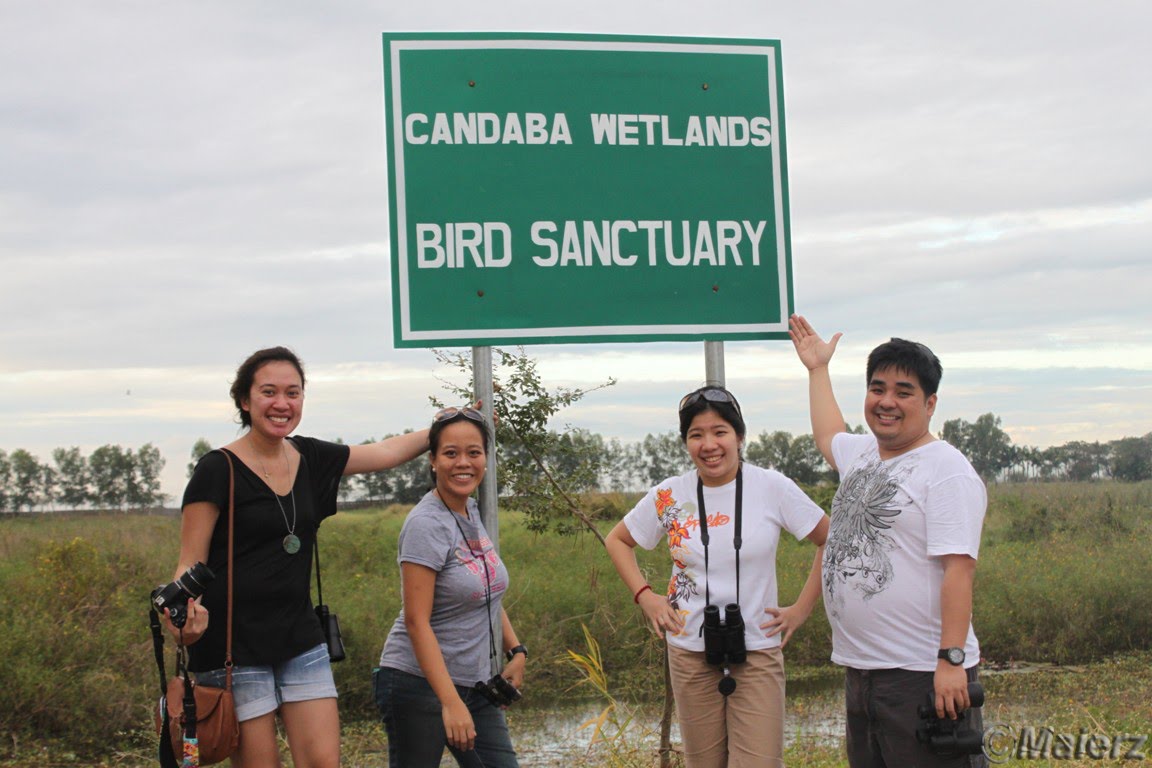 Randomness Is Bliss: Bird Watching @ Candaba Wetlands
