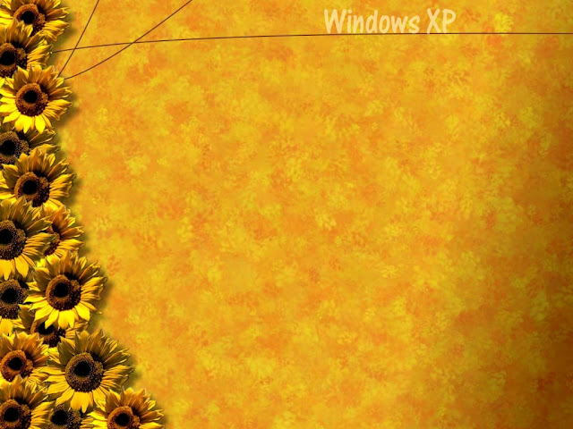 Virtual Desktop Wallpaper: Windows XP Wallpapers