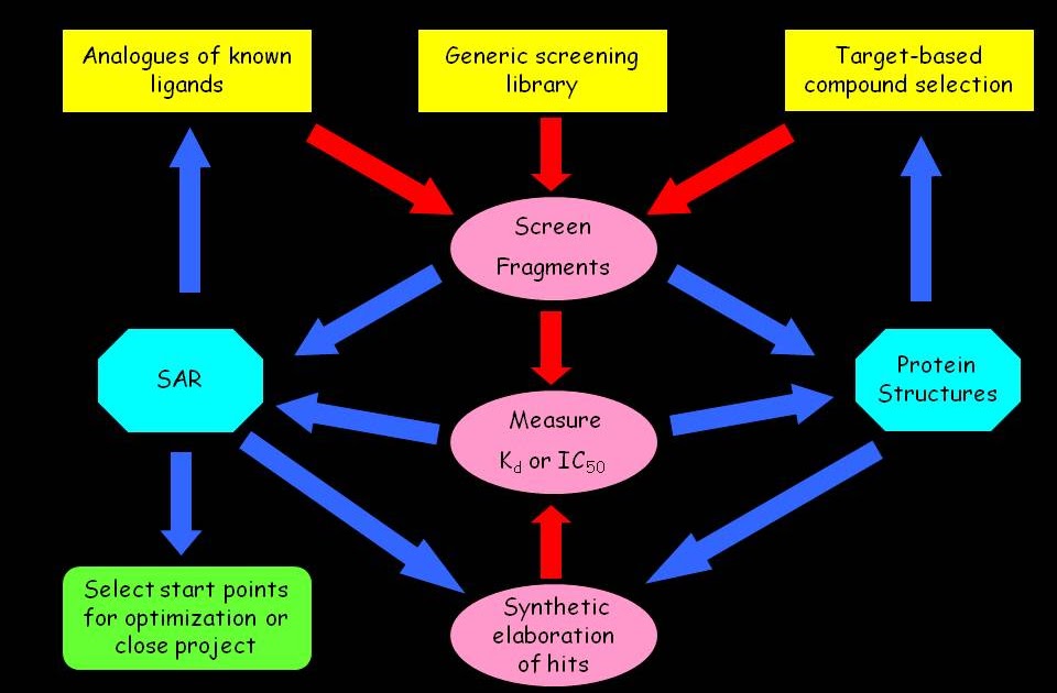 Molecular Design: Screening Libraries: Introduction