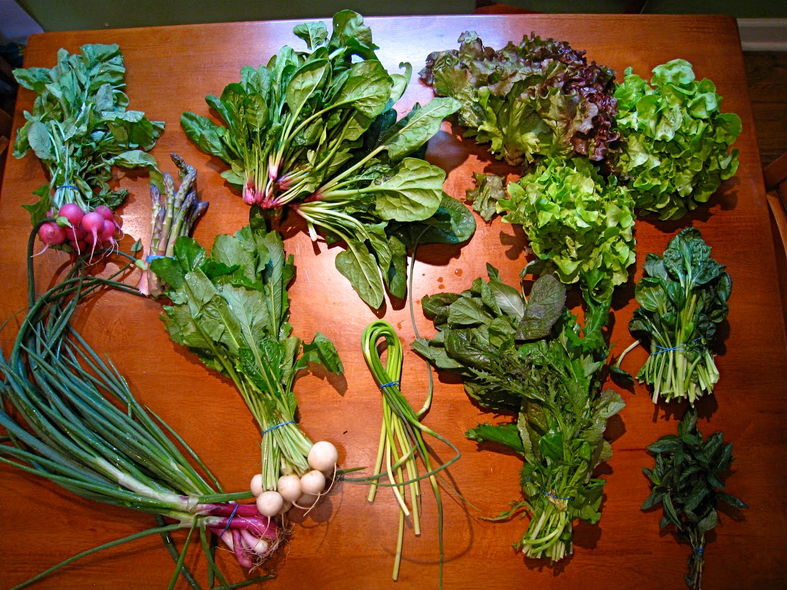 Four Obsessions: perpetually shifting between cooking, reading ...