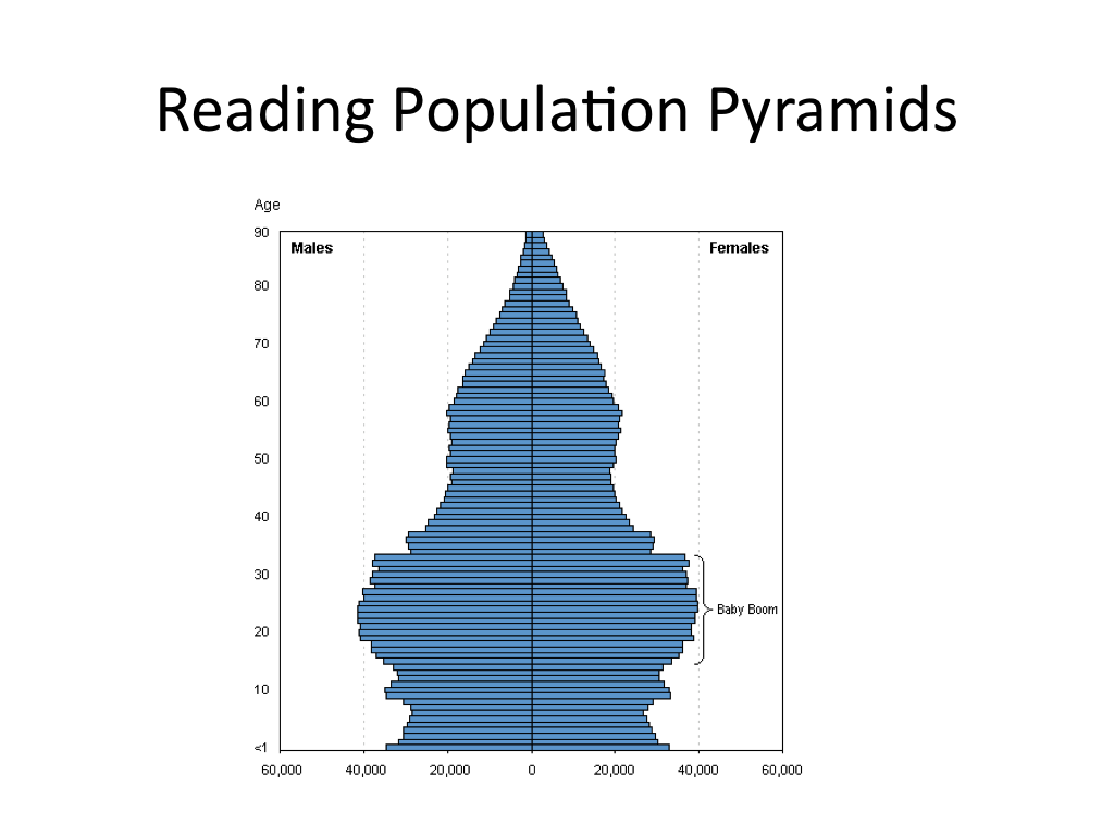 Our Social Studies 11 Class: Class Notes - June 1 - Population Pyramids