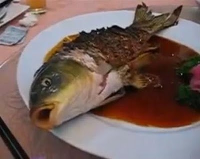 Best Chef Cooks Live Snake and Fish