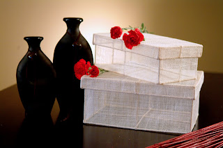 ECO-FRIENDLY PACKAGING and OTHER PRODUCTS: February 2010