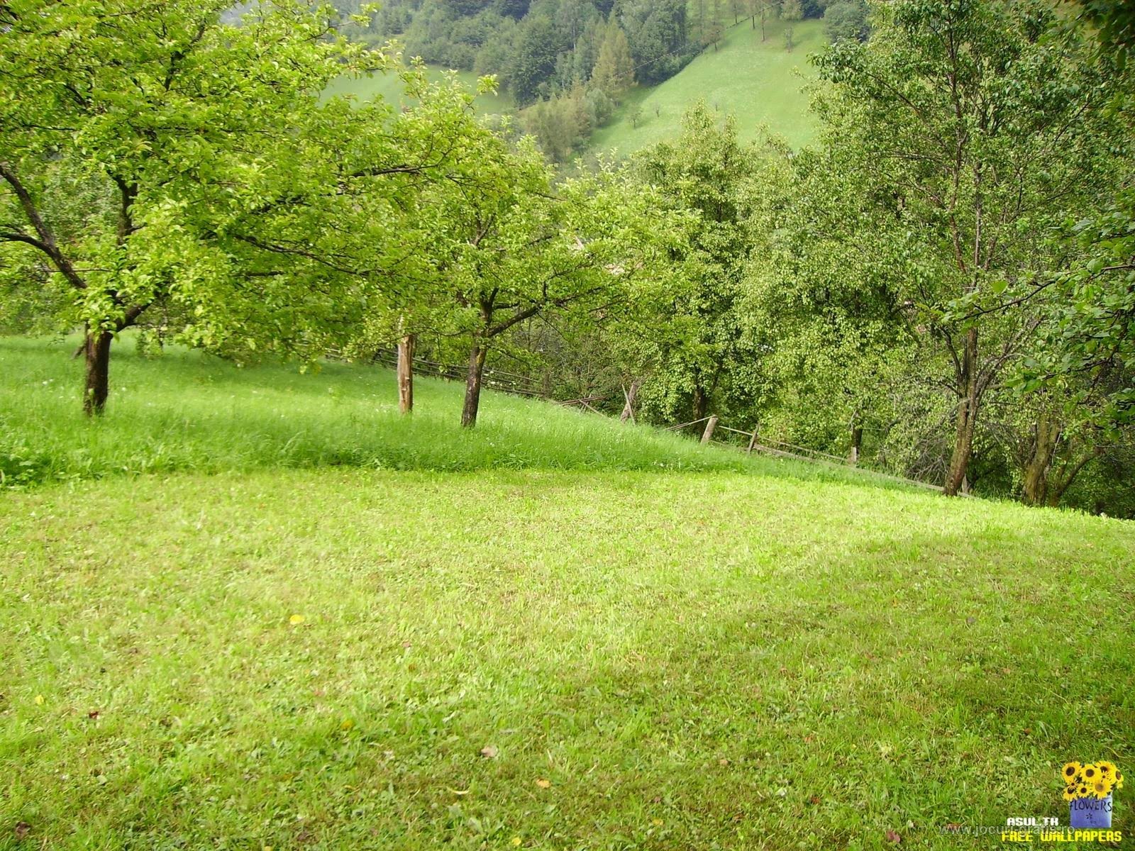 ღ♥ Vise.Sperante.iluzii ♥ღ «╗: Invata sa fii ECO