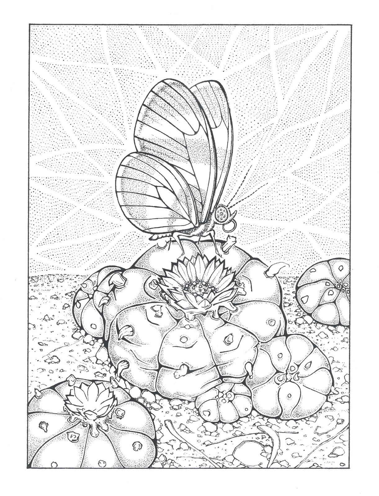 The Plant Whisperer: Grandfather Peyote: How Some Plants Are More Equal ...