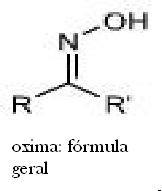 Oximas; Aldoximas; Compuestos de Hidroxiiminos; Cetoximas